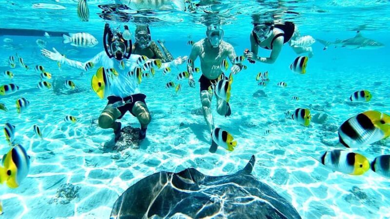 Bora Bora: Half-Day Traditional Canoe Ride in the Lagoon - What to Expect and Tips for Enjoying the Tour