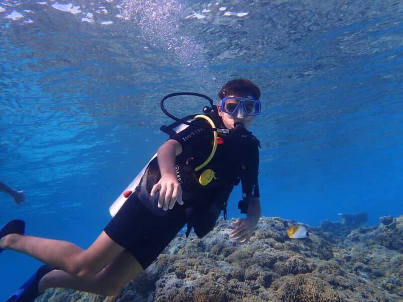 Bora Bora: Introductory Dive - Introduction to Bora Bora’s Underwater World