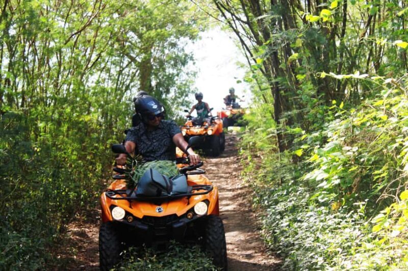 Bora Bora: Island Tour and Mountains Getaway by Quad Bike - Who Will Love This Tour?