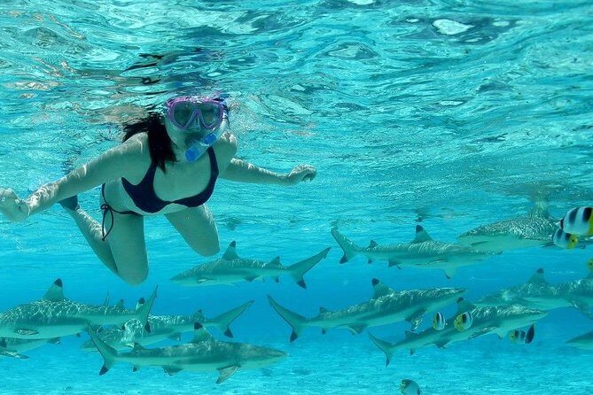 Bora Bora Jet Ski Tour, & Eco Shark / Ray Snorkel Cruise - FAQs