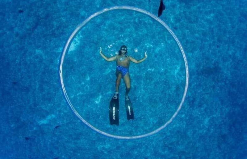 Bora Bora: Lagoon Snorkeling Half-Day Private Boat Tour - Pricing and Value