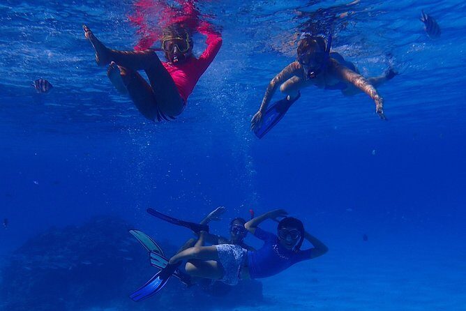 Bora Bora: Luxury Private Half Day Snorkeling Tour - The Equipment and Comfort