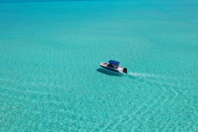 Bora Bora: Luxury Private Half Day Snorkeling Tour - The Value of Privacy and Personal Attention