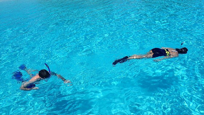 Bora Bora: Luxury Private Half Day Snorkeling Tour - The Quality of the Guides