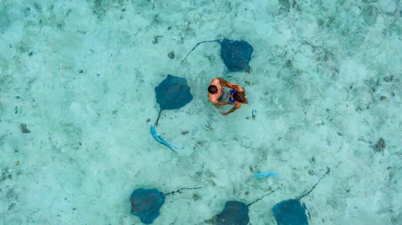 Bora Bora Luxury Tour and Beach Picnic - The Overall Value