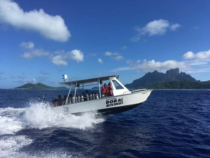 Bora Bora: Morning 2 tank dive for certified divers - The Sum Up