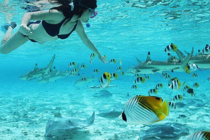 Bora Bora SNORKELING AND ATV QUADS TOURS COMBO - Key Points