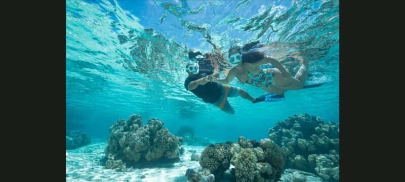 Bora Bora: Snorkeling and Fishing Tour with Lunch Option - What to Expect from the Bora Bora Snorkeling and Fishing Tour