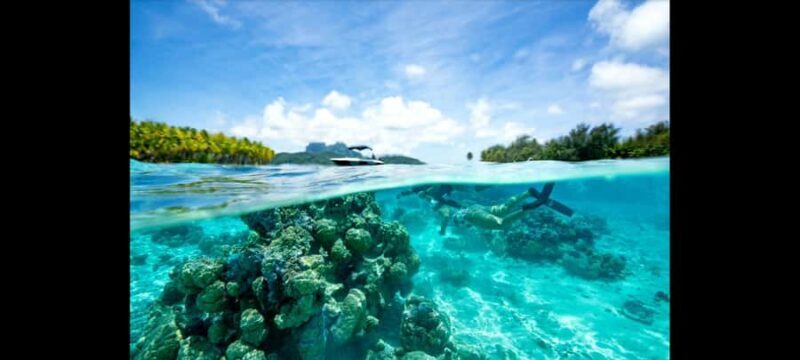 Bora Bora: Snorkeling and Fishing Tour with Lunch Option - Insights from Reviews: Authentic Perspectives