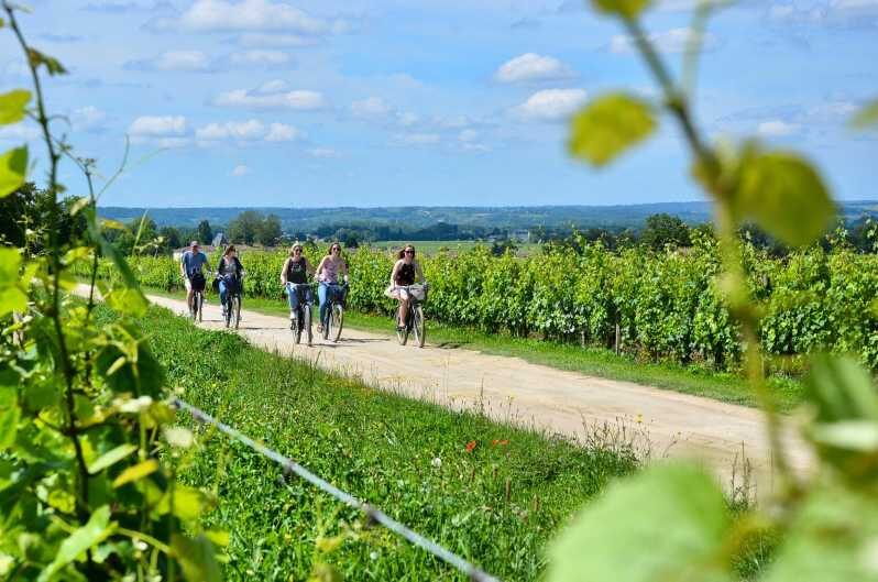 Bordeaux Backcountry E-Bike Tour with Lunch & Wine Tasting - An In-Depth Look at the Bordeaux Backcountry E-Bike Tour
