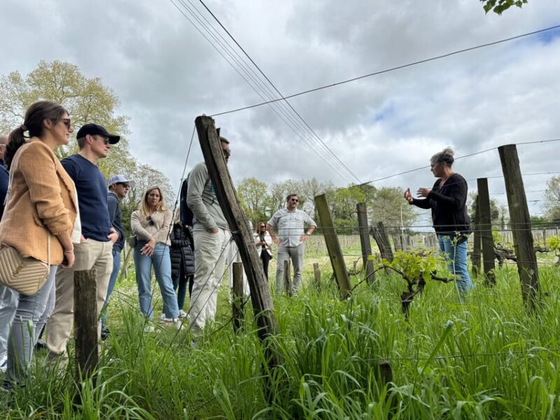 Bordeaux Backcountry E-Bike Tour with Lunch & Wine Tasting - The Sum Up: Who Is This Tour Perfect For?