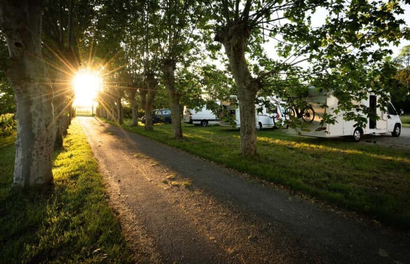 Bordeaux: Explore an Organic Family Vineyard with Tasting - Final Thoughts: Who Is This Tour Best For?
