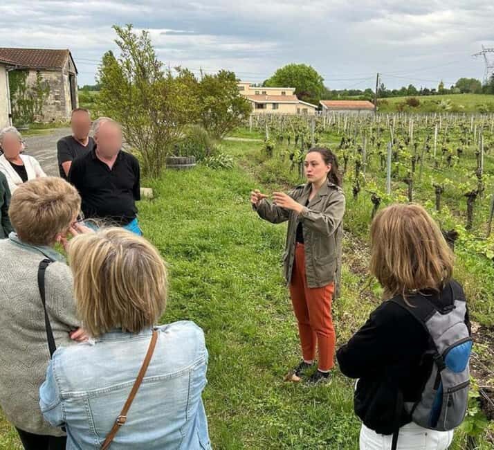 Bordeaux: Explore an Organic Family Vineyard with Tasting - The Sum Up