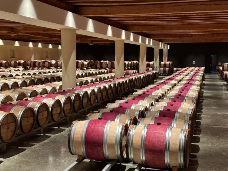 Bordeaux: Medoc tour in a small group (Luxury Mercedes EQV) - What Is Included and What Is Not?