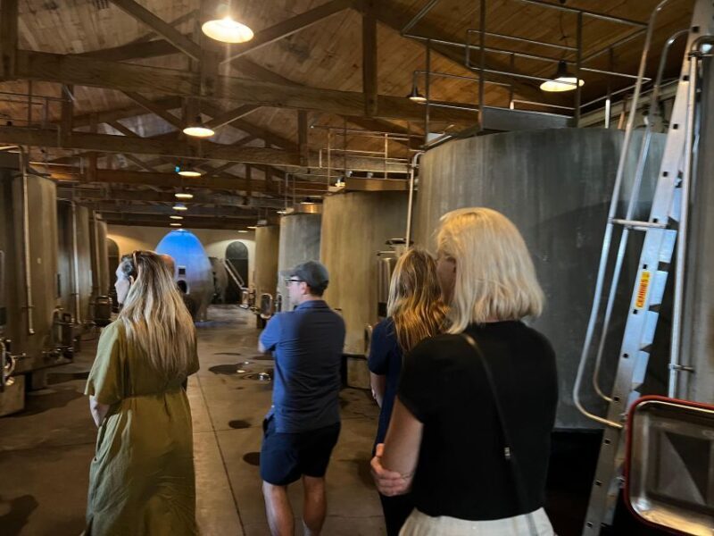 Bordeaux: Medoc tour in a small group (Luxury Mercedes EQV) - Review Highlights & Authentic Insights