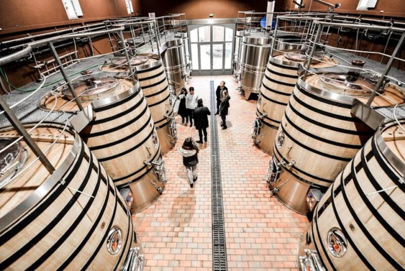 Bordeaux: St-Emilion and Medoc Wine Day Tour with Lunch - The Overall Experience and Value  