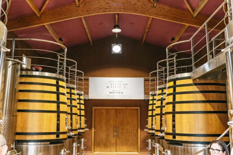 Bordeaux: St. Emilion Day Trip with Wine Tasting and Lunch - Who Should Consider This Tour?