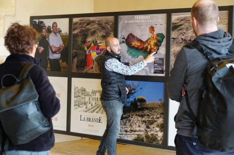 Bordeaux: St. Emilion Wine E-Bike Tour|Lunch & 13 + Tastings - The Itinerary in Detail: What to Expect