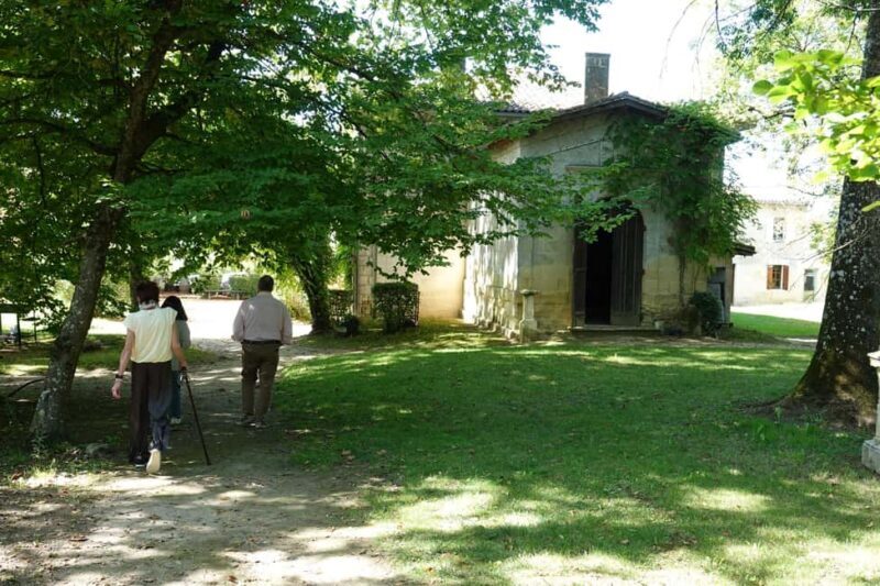 Bordeaux: St. Emilion Wine E-Bike Tour|Lunch & 13 + Tastings - Who Will Love It?