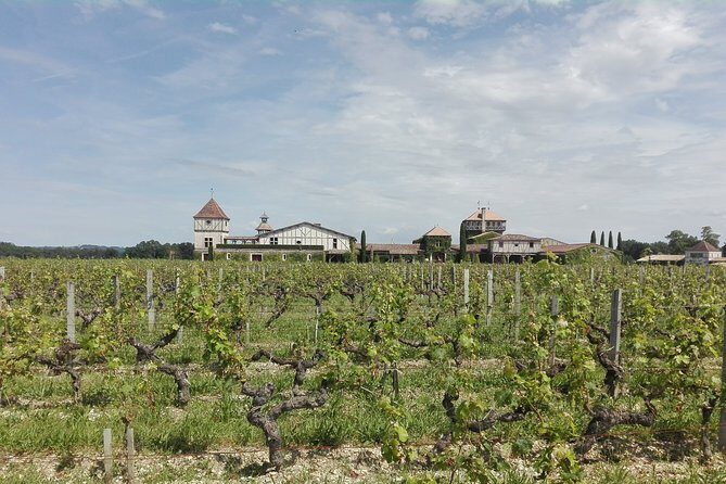 Bordeaux Uncorked: Private Premium Wine Tour from San Sebastian - An In-Depth Look at Bordeaux Uncorked Tour