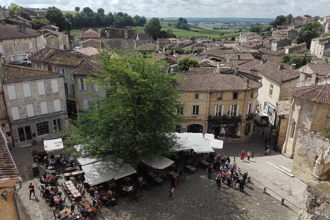 Bordeaux Uncorked: Private Premium Wine Tour from San Sebastian - FAQ