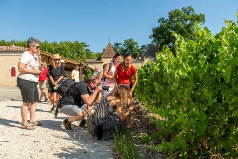 Bordeaux: Vineyards Wine Tasting Half-Day Trip - Key Points: