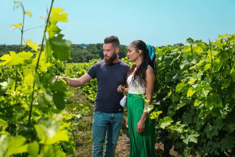 Bordeaux: Visit to Château de Reignac and prestige tasting - Reviews and Real Experiences