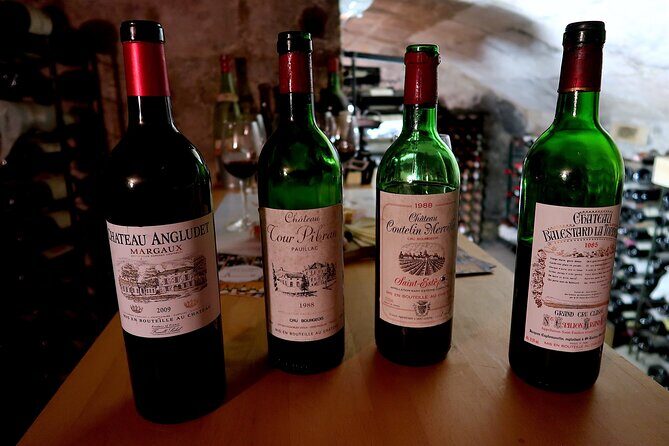 Bordeaux Wine Tasting  Discover Old Vintages - Who Is This Tour Best For?