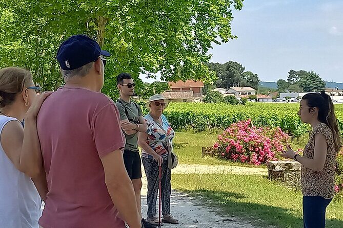 Bordeaux wine tour off the beaten path (red & white wines) - Key Points