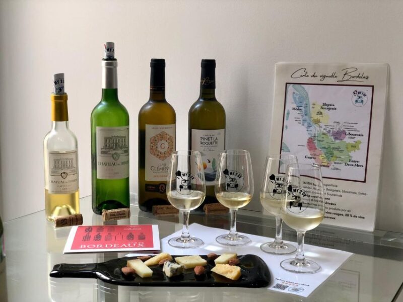 Bordeaux wines : tasting with 4 white wines and cheeses - Who Should Book This Experience?