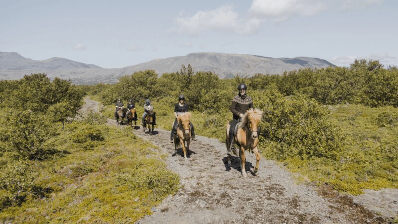 Borgarnes: Horseback Riding Tour with Prep Lesson - Final Thoughts: Who Is This Tour Best For?