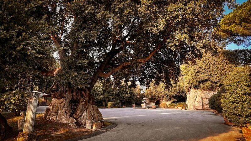 Borgo Laudato Sì - Villa Barberini Gardens - Key Points