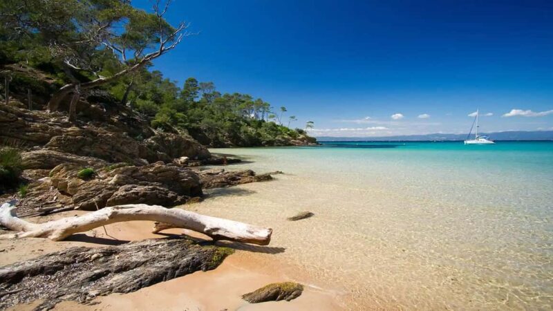 Bormes-les-Mimosas: Hybrid boat trip to Porquerolles Island - Key Points