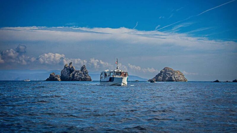 Bormes-les-Mimosas: Hybrid boat trip to Porquerolles Island - Practical Tips for Making the Most of Your Day