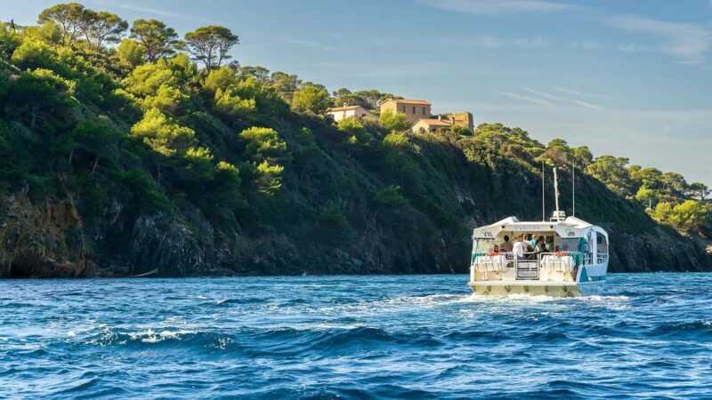 Bormes-les-Mimosas: Hybrid boat trip to the island of Port-Cros - Who Is This Tour Best For?