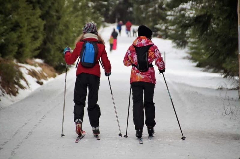 Borovets: 2-Hour Cross Country Ski Taster with Instructor - The Itinerary Breakdown