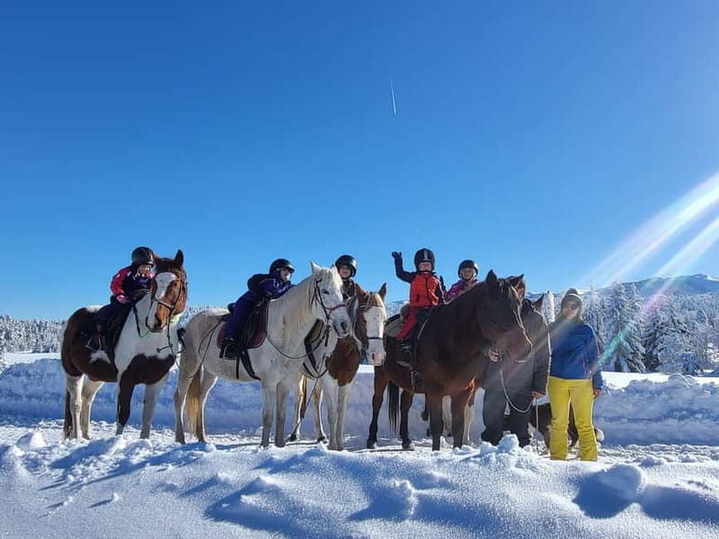 Borovets: Horse Riding Experience - Key Points