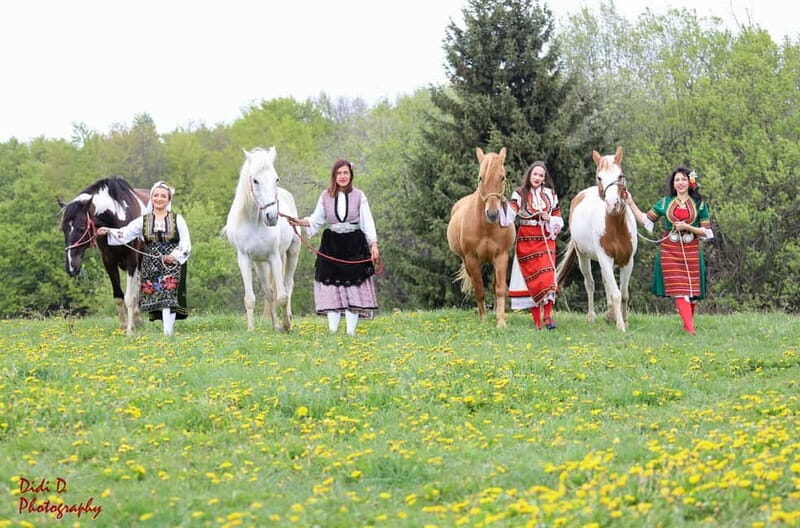 Borovets: Horse Riding Experience - An In-Depth Look at the Borovets Horse Riding Experience