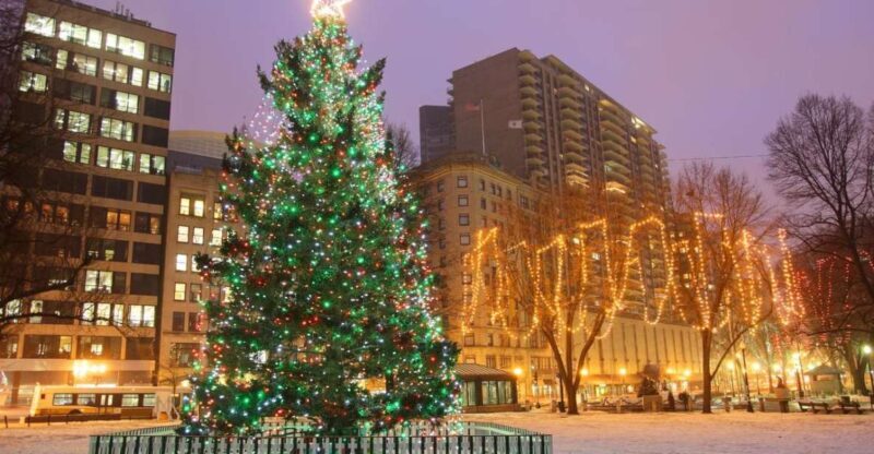 Boston: A Bostonian Christmas Private Tour - Key Points