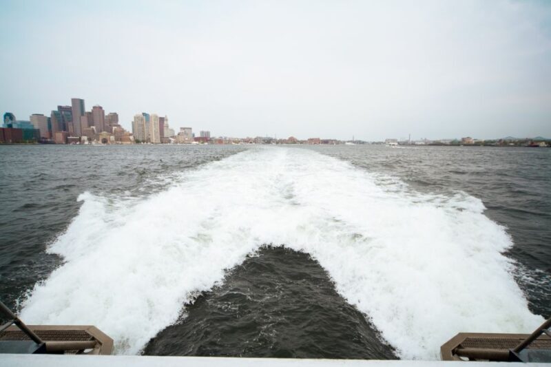Boston: City Cruises Whale Watching Cruise - Introduction: What Makes This Whale Watching Tour Stand Out?