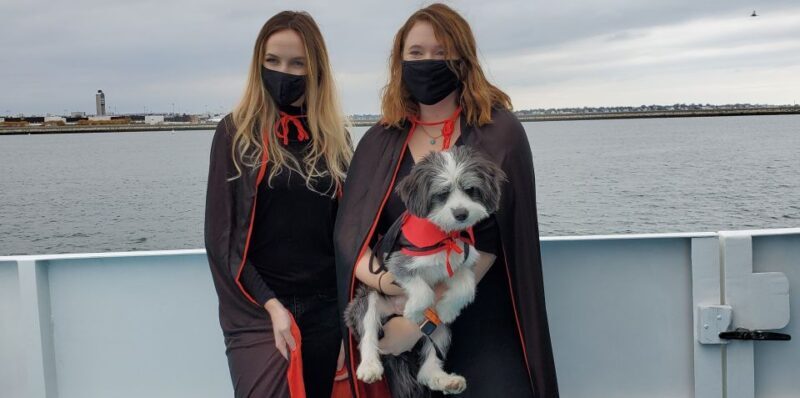 Boston: Dog-Friendly Halloween Costume & Sightseeing Cruise - Introduction: A Fun, Pet-Friendly Boston Halloween Cruise