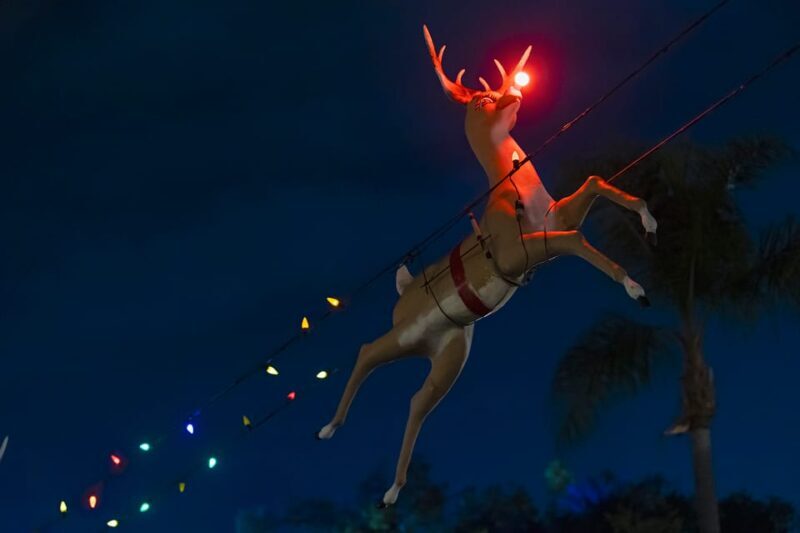 Boston: Holiday Sights and Festive Nights Trolley Tour - The Experience: What to Expect on the Tour