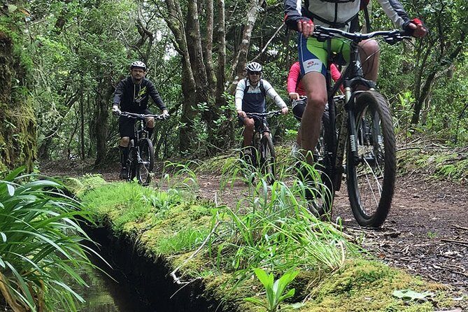Botanical Trails of Madeira. Mountain biking Trail Experience - What to Expect from Your Bike and Gear