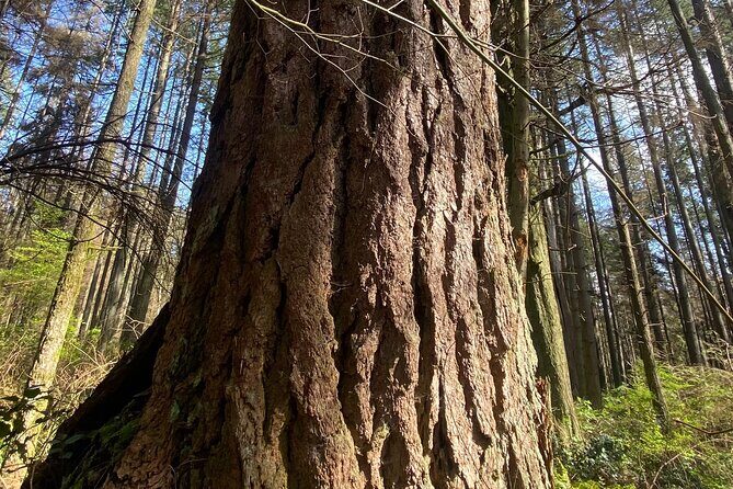 Botany of Witchcraft - In-Depth Review of Botany of Witchcraft Tour