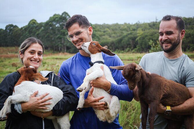 Bottle Feed & Cuddle Baby Goats Tour on Big Island Farm - Final Thoughts: Is This Tour Worth It?