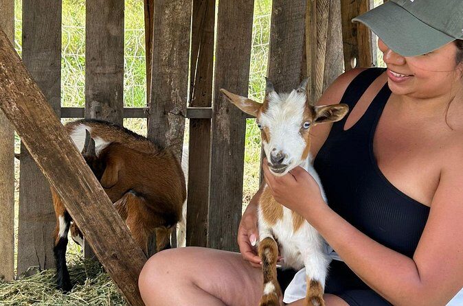 Bottle Feed & Cuddle Baby Goats Tour on Big Island Farm - FAQ