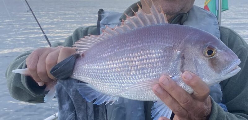 Bottom Fishing Lagos - Key Points