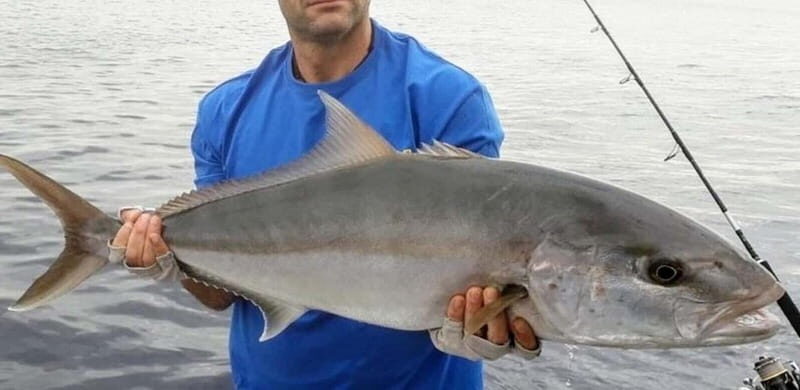 Bottom fishing & light trolling Puerto Calero, Lanzarote - FAQ