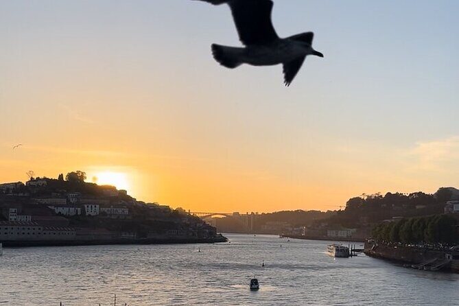 Boutique Port Wine Tour in Gaia with Rooftop Views - A Closer Look at the Tour Experience