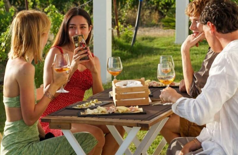 Boutique Winery Tour with Wine & Food Tasting near Cagliari - The Heart of Sardinian Wine: An In-Depth Look